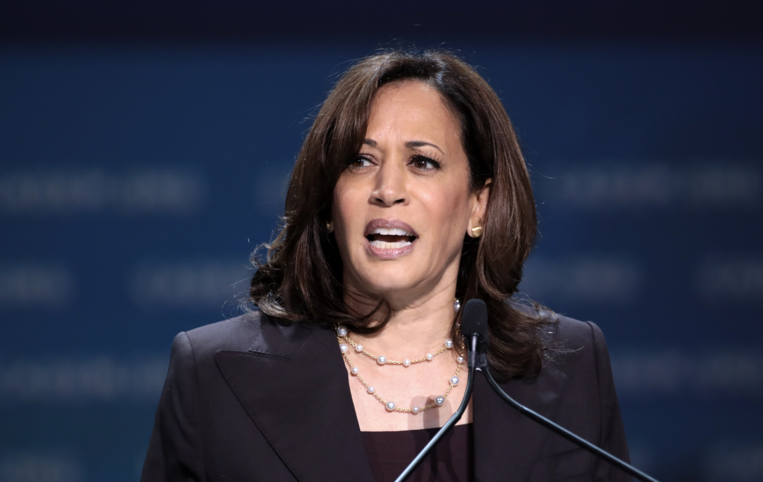 Harris’ Post-Election Fundraising Sparks Worries Among Democrats ...