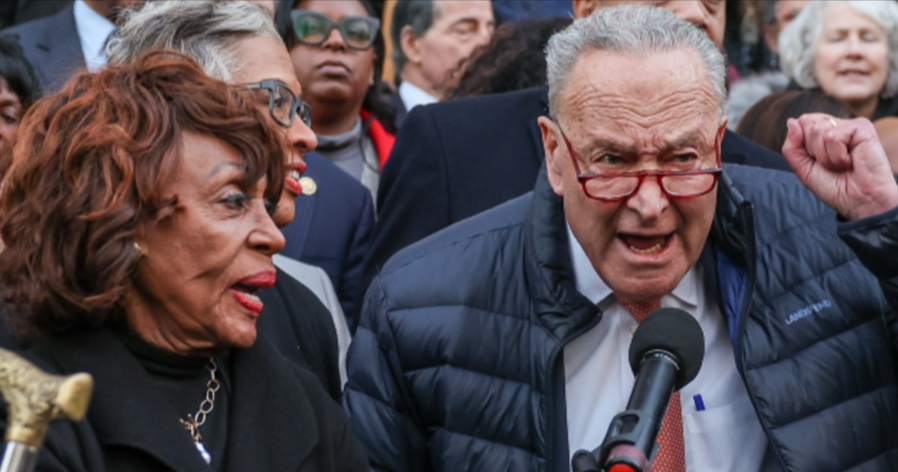 Schumer, Waters Fail To Start Anti-Musk Chant At ‘Rally’