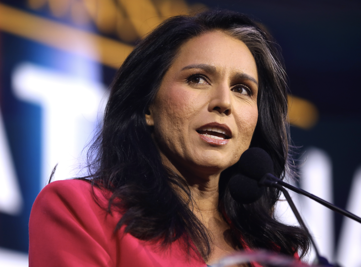 Watch: Gabbard Dismantles 'War Plans' Narrative in Under 30 Seconds ...