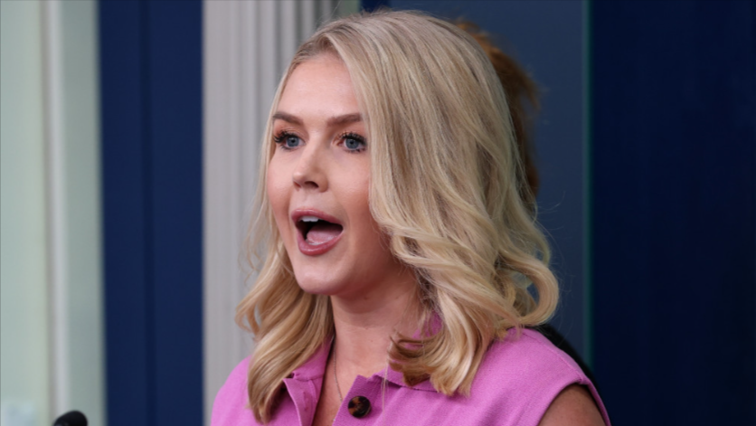 Leavitt Brings Out Mother Of Daughter Slain By Illegal Migrant To Briefing